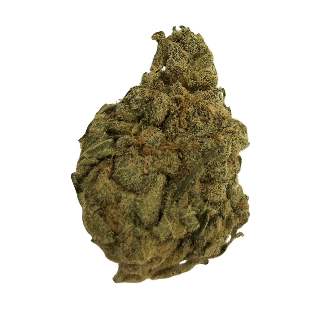 Bud 2 Day