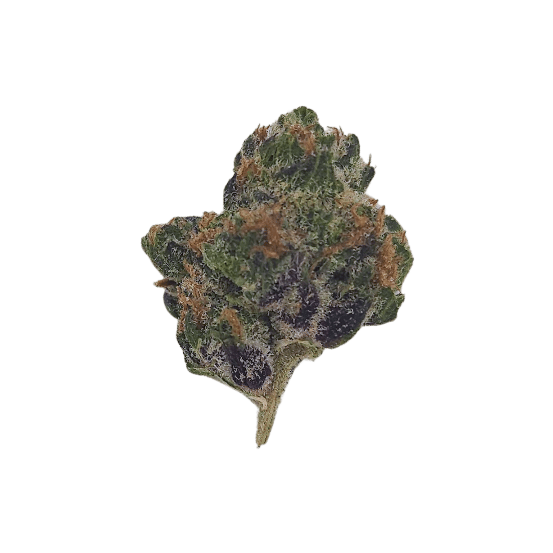 Money Maker THCA Flower (Indica) - 37.98% EXTREMELY Potent - Bud 2 Day