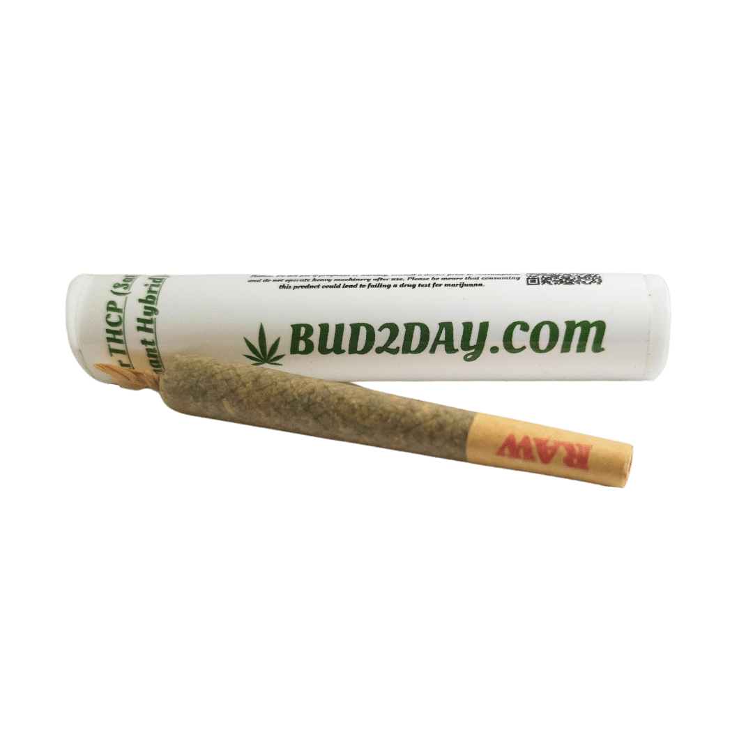 MAC-1 THCP RAW Cone Pre-Rolls (Hybrid) - Bud 2 Day