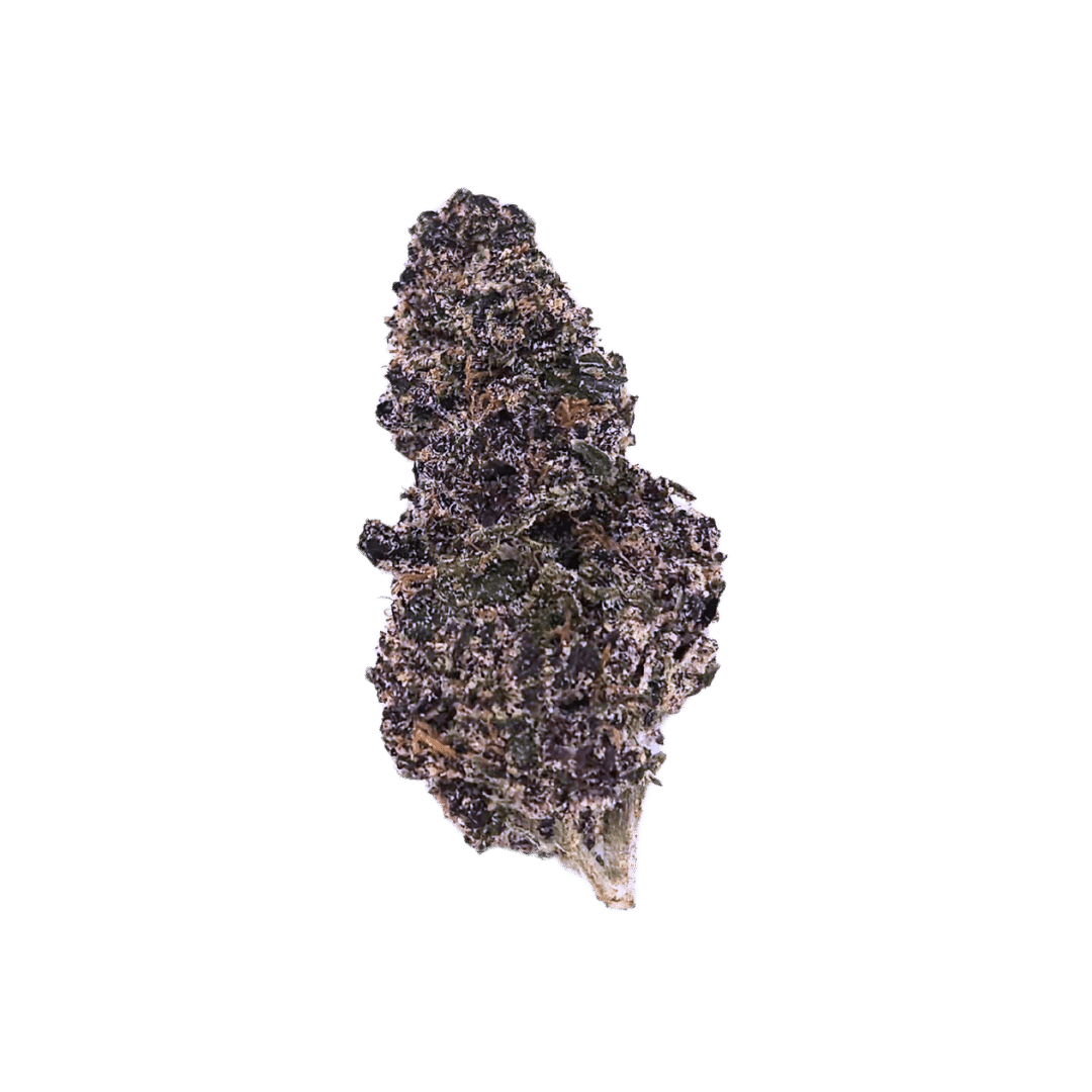 Jealousy THCP Flower (Hybrid) - Bud 2 Day