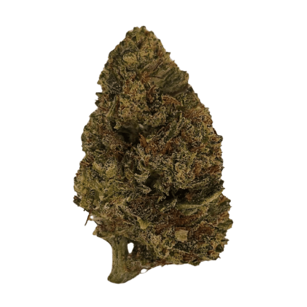 Flower - Bud 2 Day