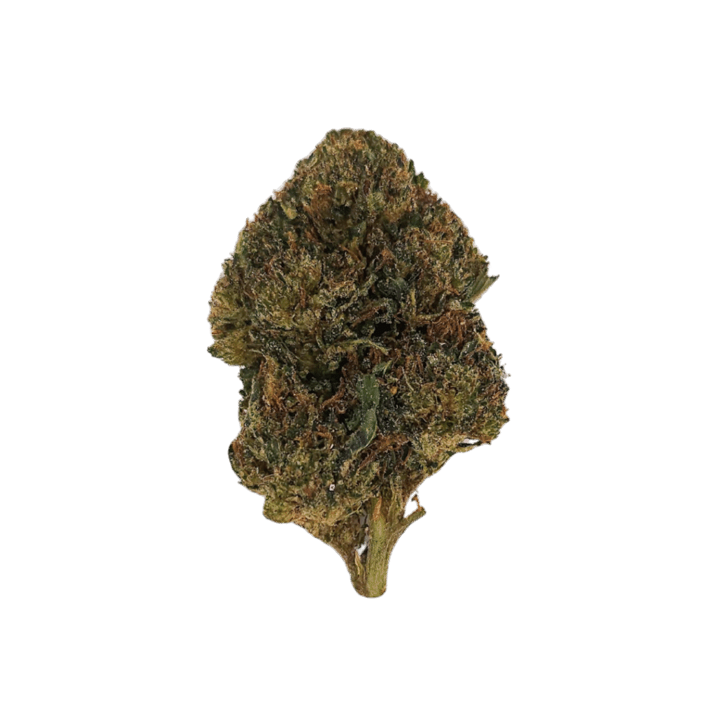Flower - Bud 2 Day